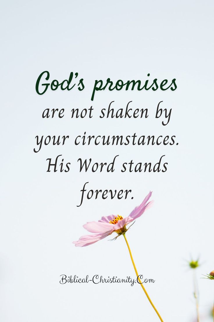 20 Inspiring Christian Birthday Quotes - † ️️ Daily Blessings Prayer ️